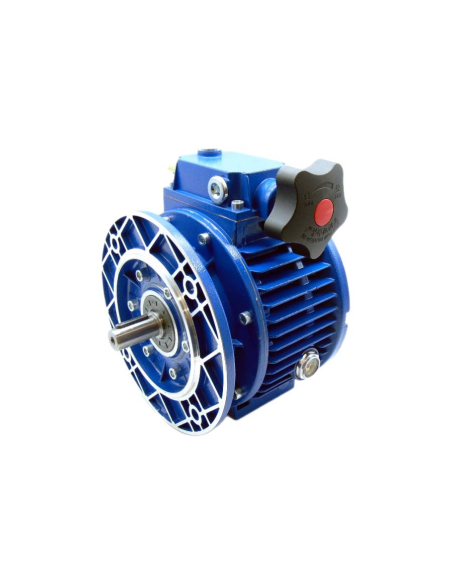 Variateur de vitesse mécanique taille 100| ADAJUSA